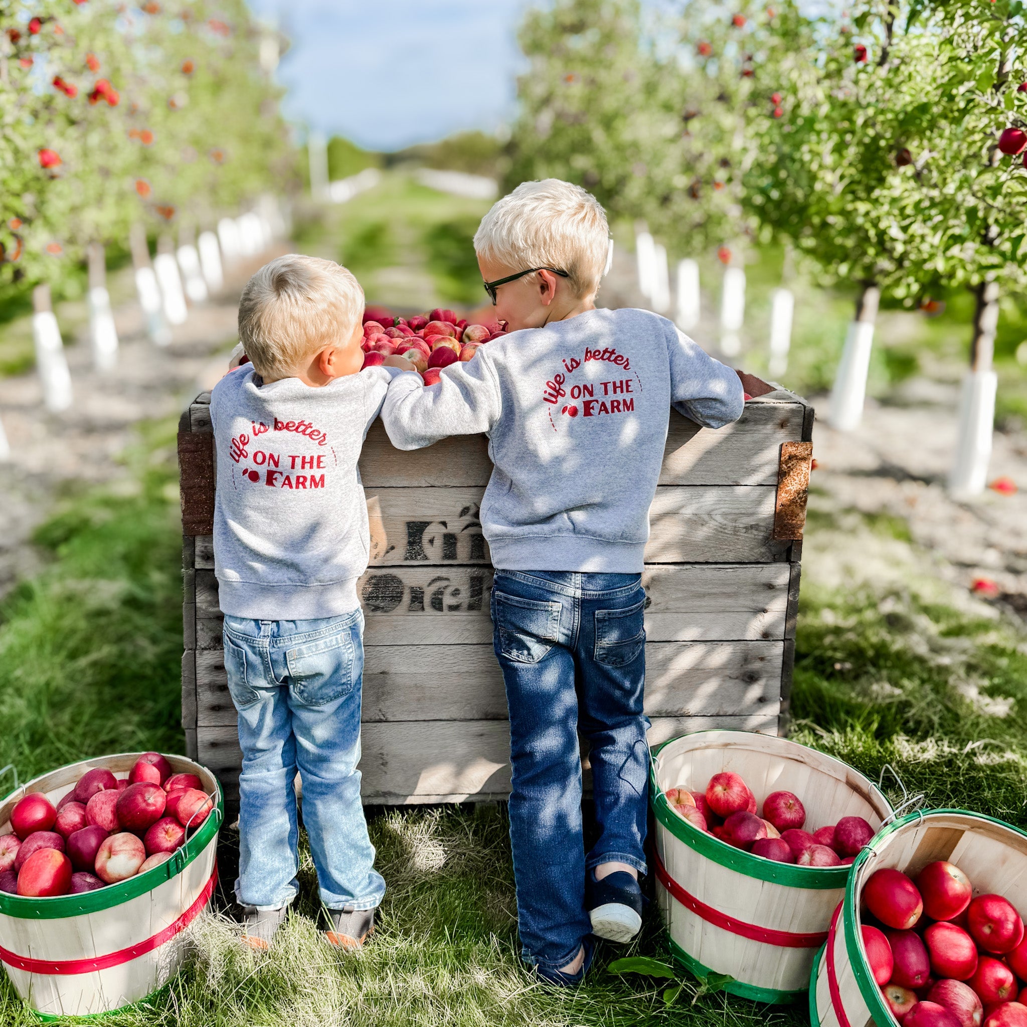 All Things Apple – Friske Farm Market